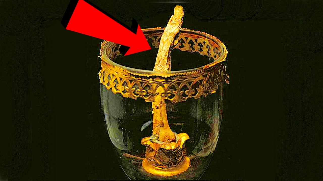 Why Is Galileo's Middle Finger In this Jar? - YouTube