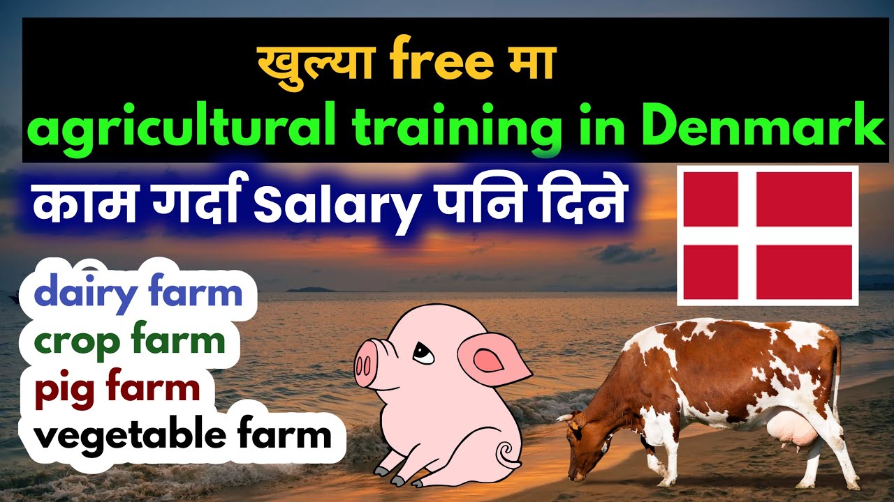 denmark working visa from nepal | denmark working visa for nepalese ...
