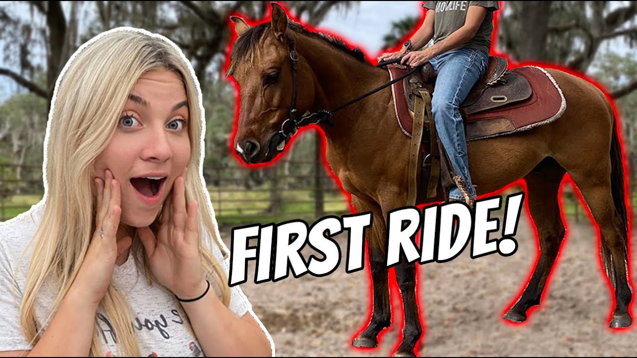 MY HORSE'S FIRST RIDE! Visiting my horse in training! - YouTube