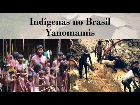 Indígenas no Brasil: Os Yanomami