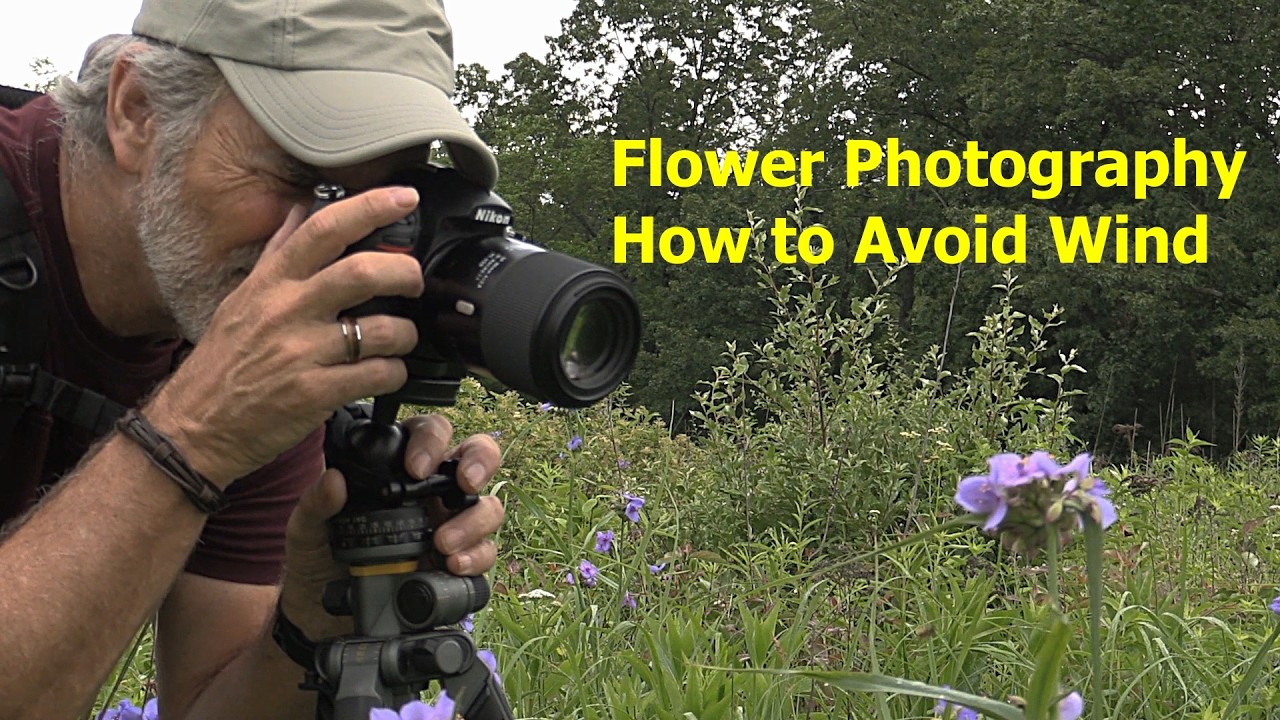 How I Photograph Flowers with No Wind - YouTube