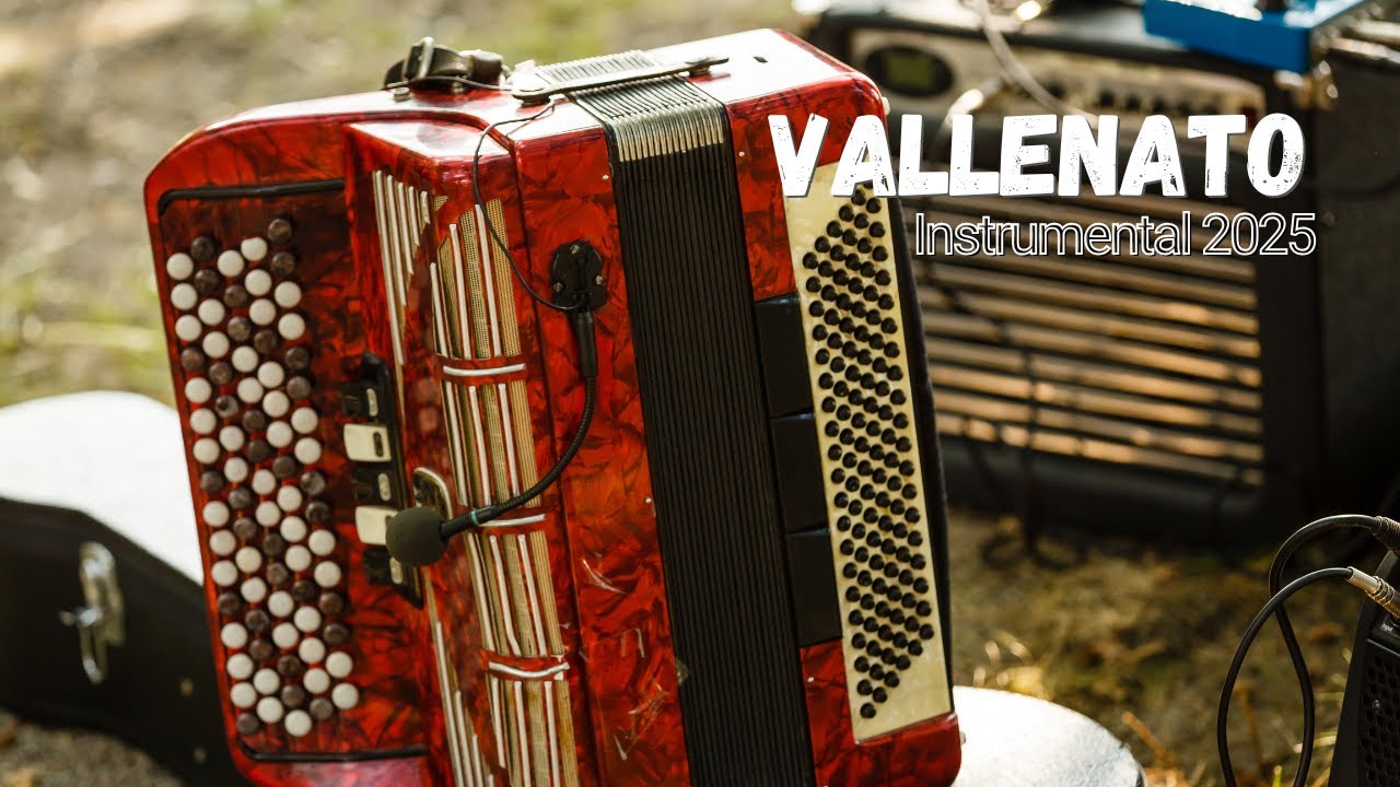 Vallenato Instrumental | Música Típica Colombiana para Relajarse ...
