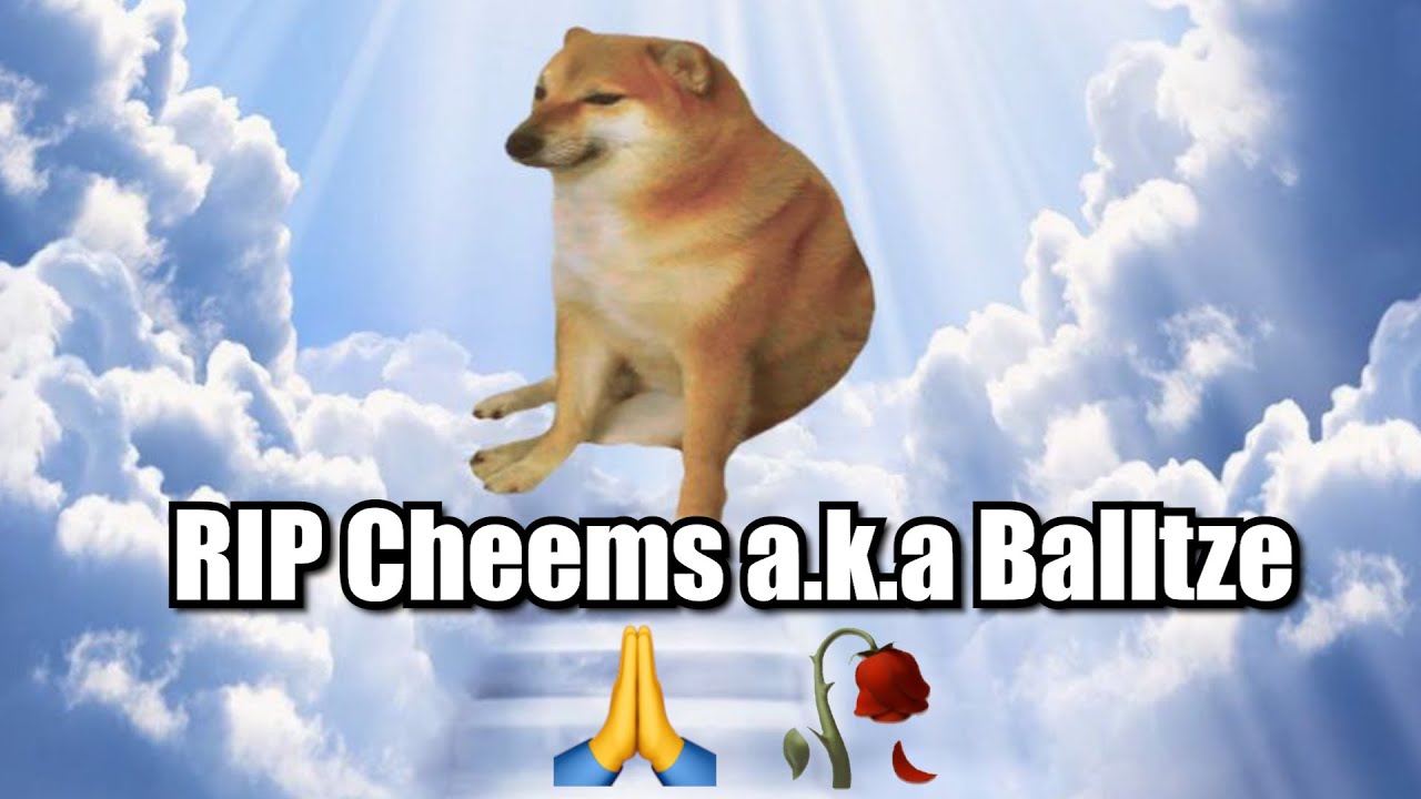 RIP Cheems aka Balltze 🥀... - YouTube