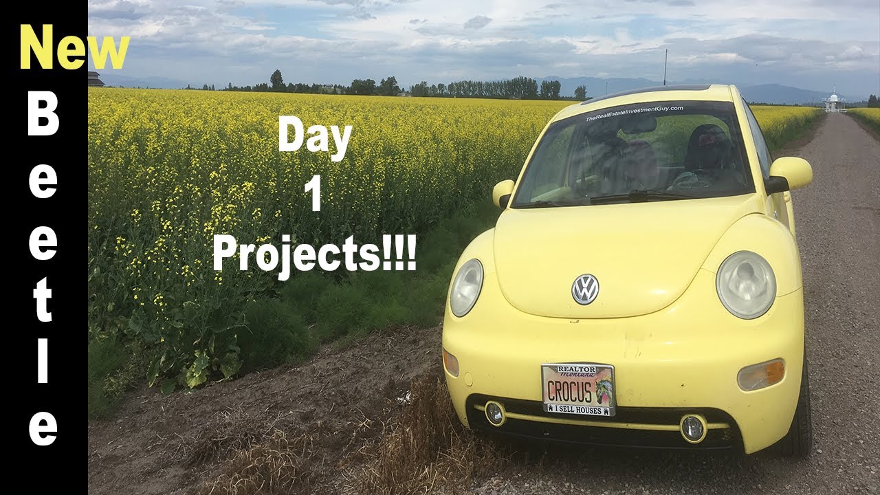 Just got a beetle! Projects that need to get done. - YouTube