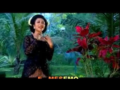 Ami Ds dan Astuti - Mbok Yo Mesem - IMC RECORD JAVA