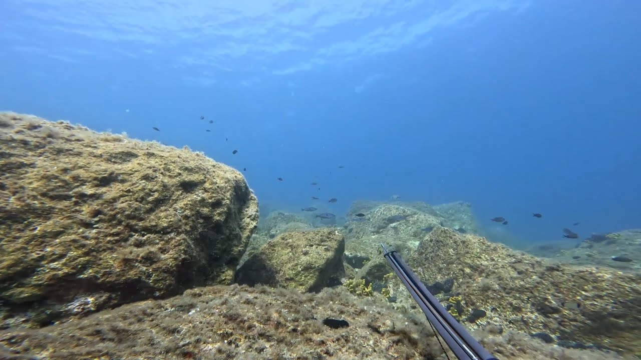 Spearfishing Turkey, Ege, Sivrice Zıpkınla balık avı, İspari - YouTube