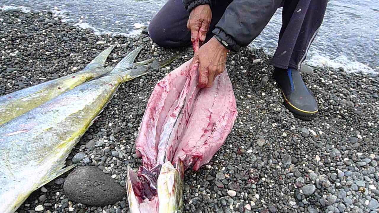 arayo processing at vanwa 20130508 - YouTube