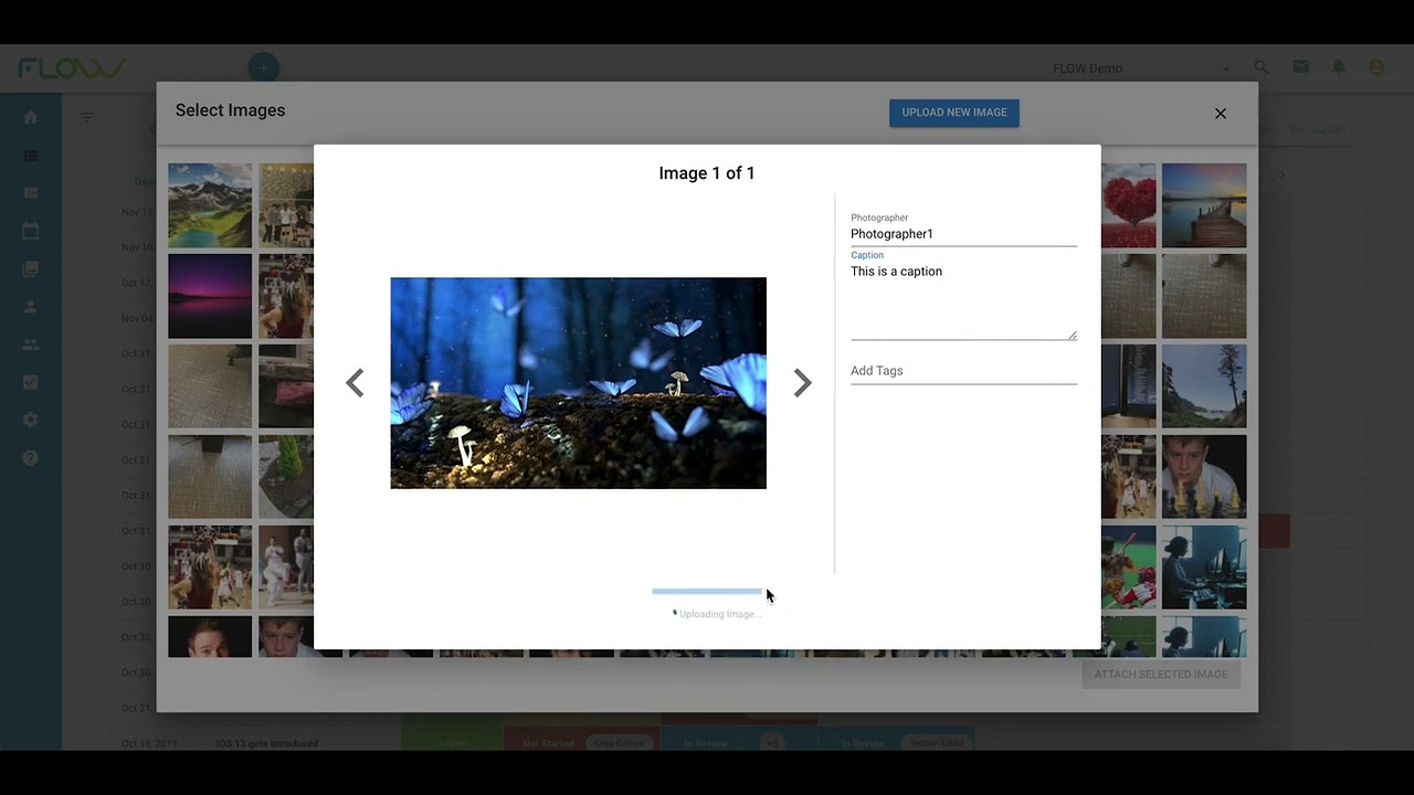 SNO FLOW: Uploading a Single Image - YouTube
