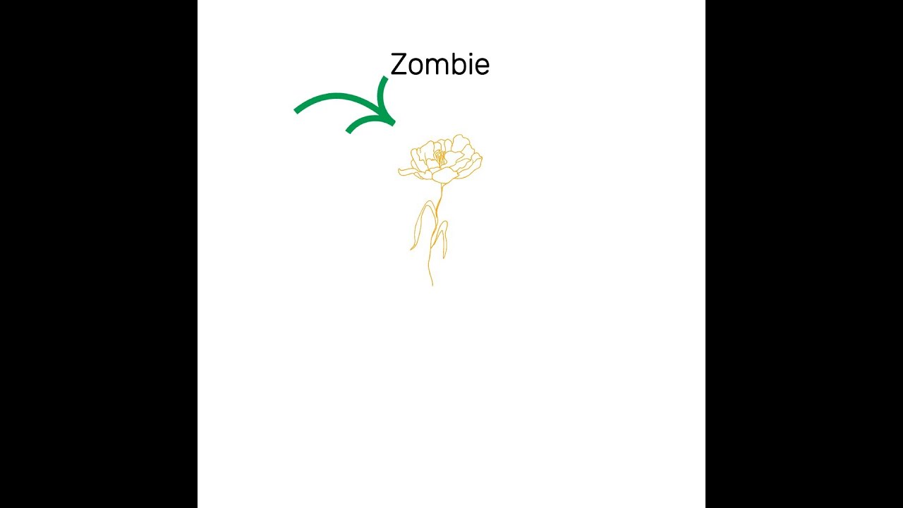 Zombies: The Movie| CHAPTER 1: First Apocalypse - YouTube