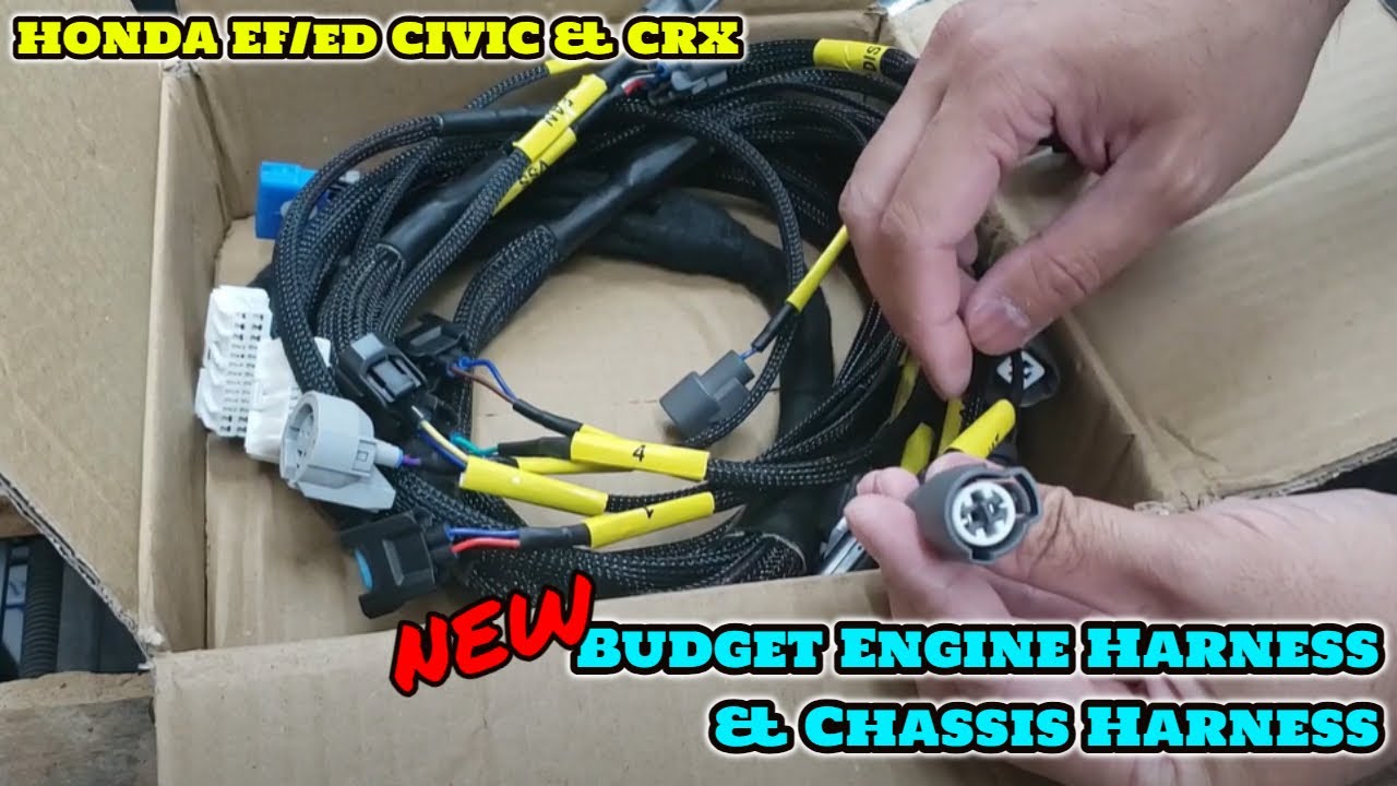 ||HONDA EF9 / ED7 88-91 CIVIC & CRX|| New Budget Engine Harness ...