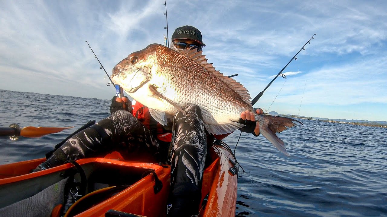 NNSW Snapper and Surf Return! - YouTube