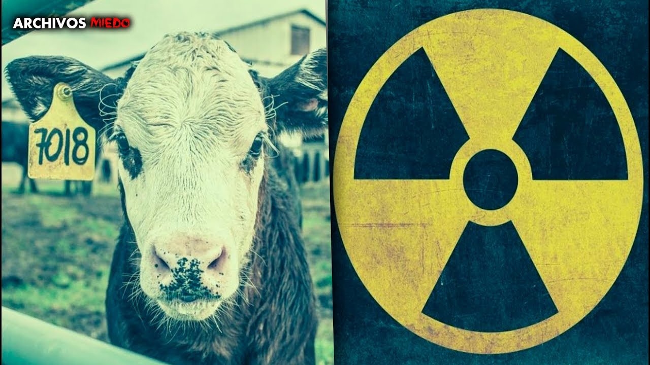CUANDO la LECHE RADIOACTIVA de CHERNÓBIL LLEGÓ a MÉXICO - YouTube