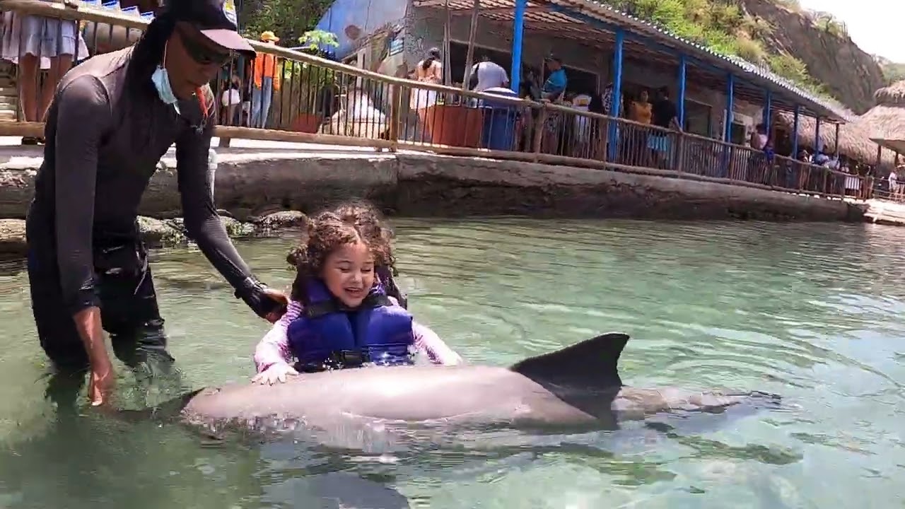 Ashley interactuando con Delfines - YouTube