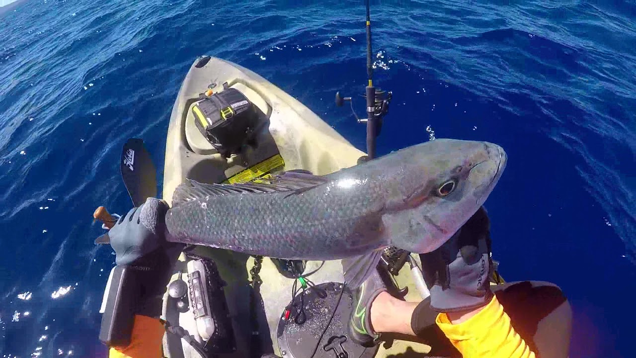 1st ANNUAL MAUI SPORTING GOODS JIGGING TOURNAMENT 2018 - YouTube