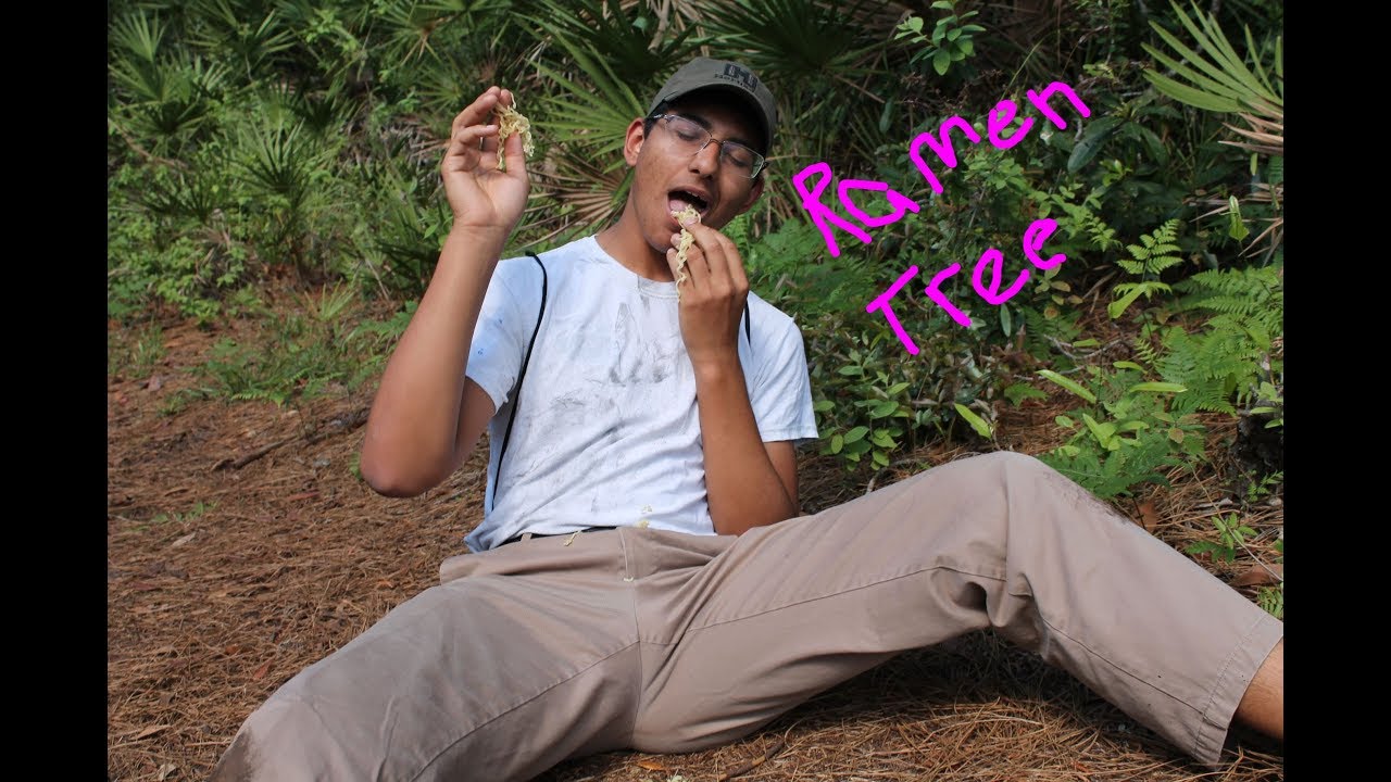 Spectrum Study No.3 - Ramen Tree - YouTube