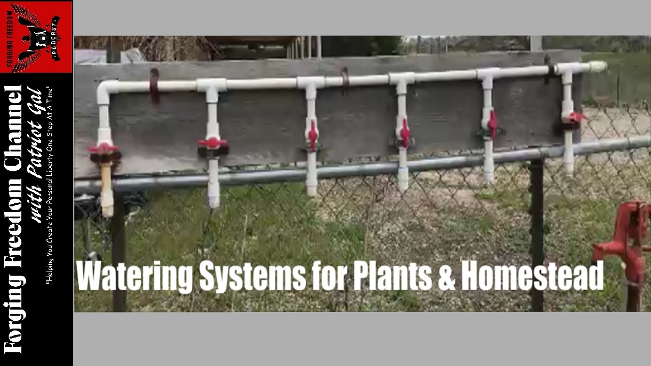 Watering System for Plants - Part 2 Watering Systems for Plants on the ...