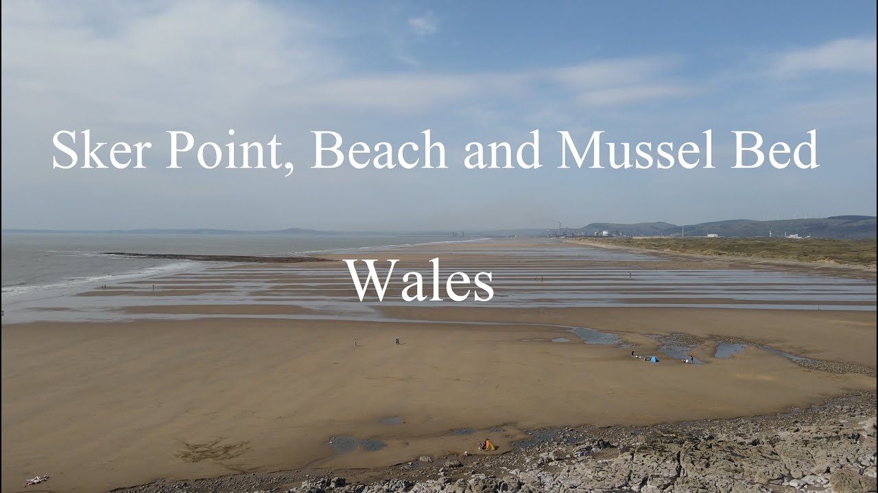 Sker Point, Beach and Mussel Bed - Chill (Wales, UK) - YouTube