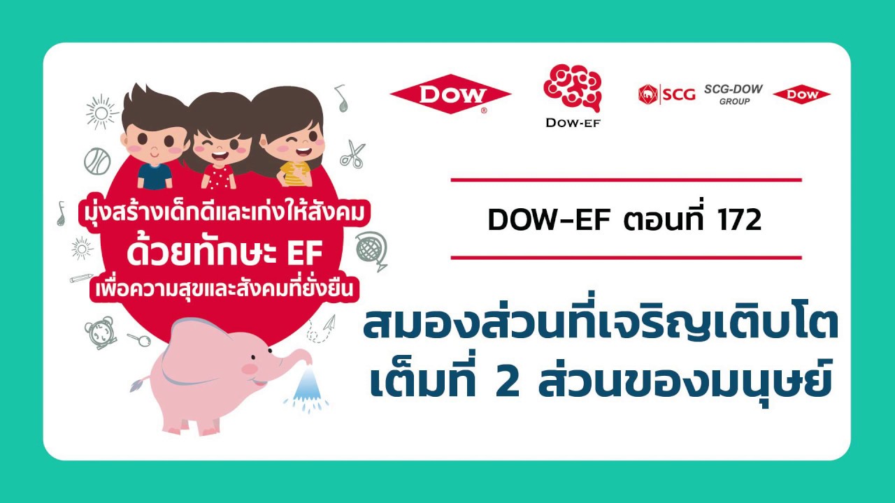สารคดี Dow-EF ตอนที่ 172 สมองส่วนที่เจริญเติบโตเต็มที่ 2 ส่วนของมนุษย์ - YouTube