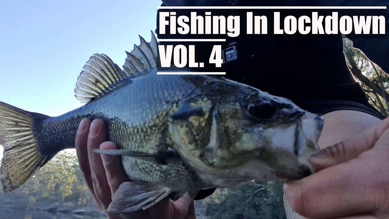 Fishing In Lockdown VOL.4 - Bass Fishing In Western Sydney - YouTube