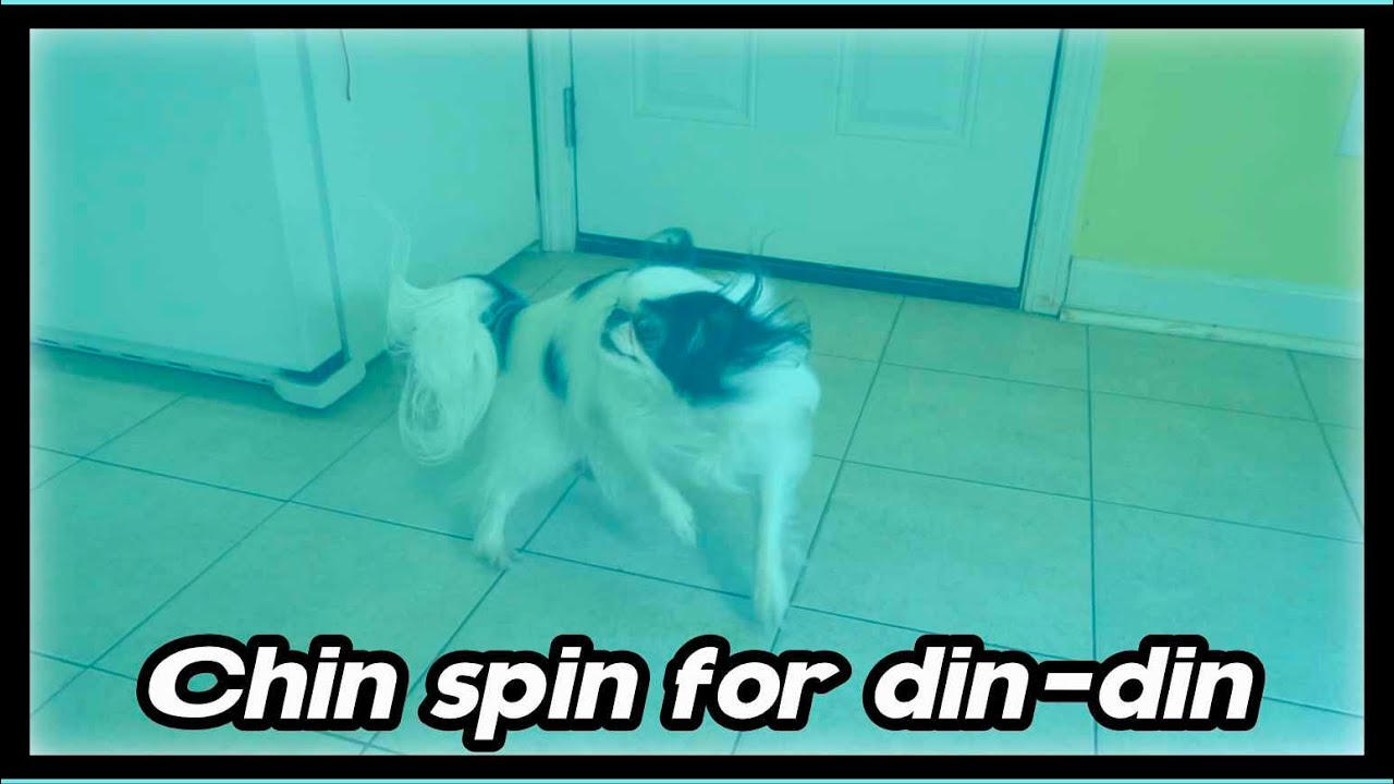 Chin spin for din-din - YouTube