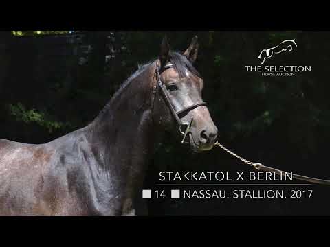🔅14 🔅NASSAU🔅🔅 STAKKATOL X BERLÍN X CARTHAGO. STALLION. 2017 - YouTube
