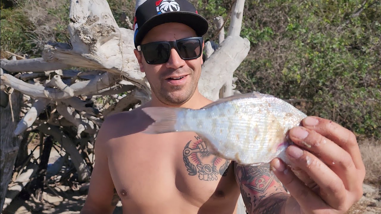 Worlds Smallest Catch and cook - YouTube