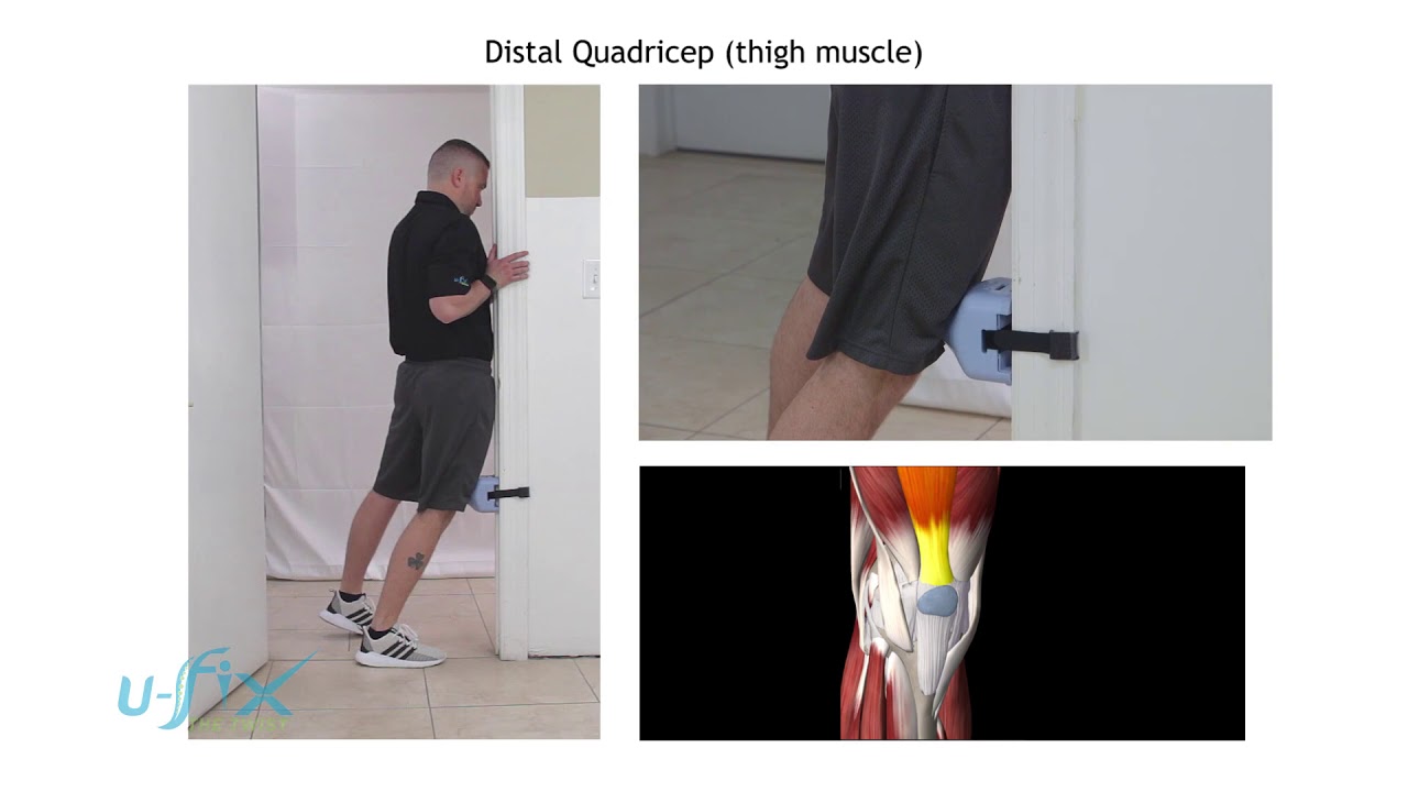 SL14: Distal Quadricep (thigh muscle, tendon) - YouTube