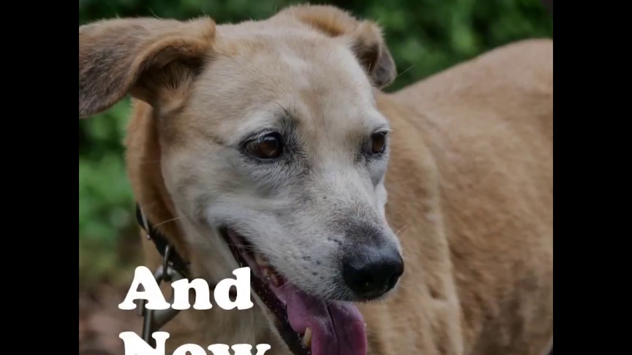 See Sandy Sing - YouTube