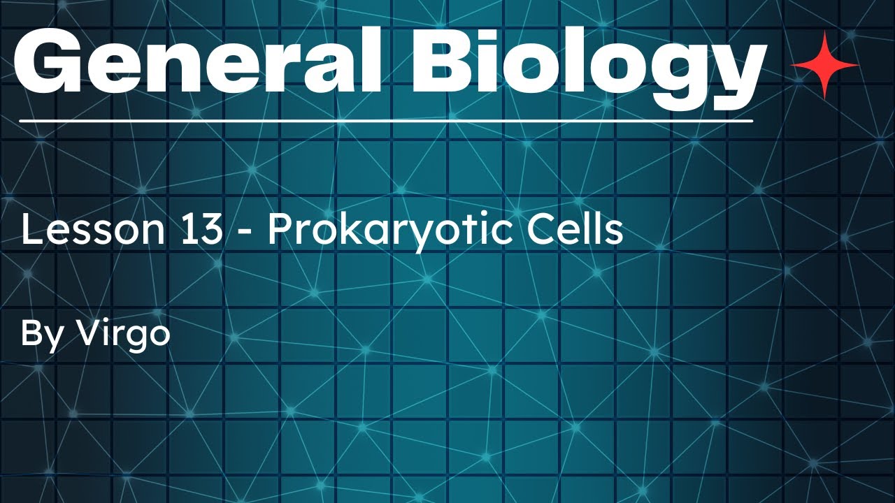 General Biology 1 - Lesson 13 - Prokaryotic Cells - YouTube