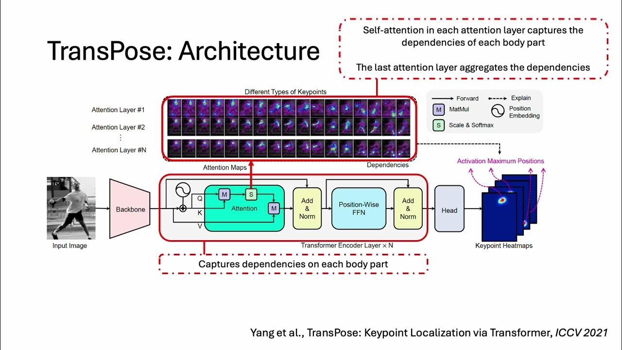 TransPose: Keypoint Localization via Transformer - YouTube