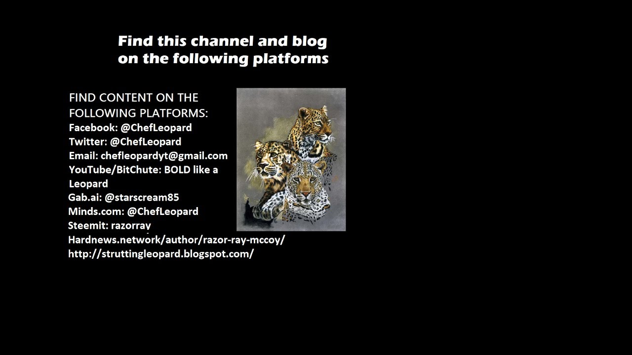 Intro to the new channel. Plans ahead, and reading hate mail. - YouTube