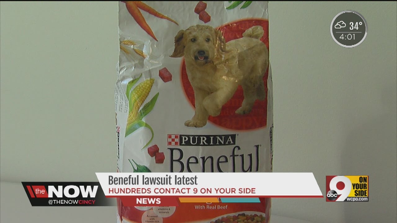 Purina stands by Beneful, saying there is nothing wrong with it - YouTube