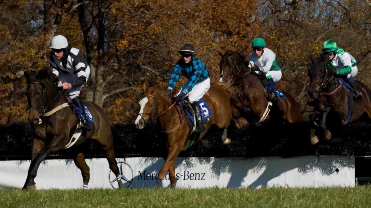 The 77th annual Montpelier Hunt Races - YouTube