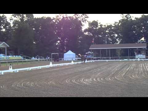 Dressage Freestyle Training Level to Rolling in the Deep