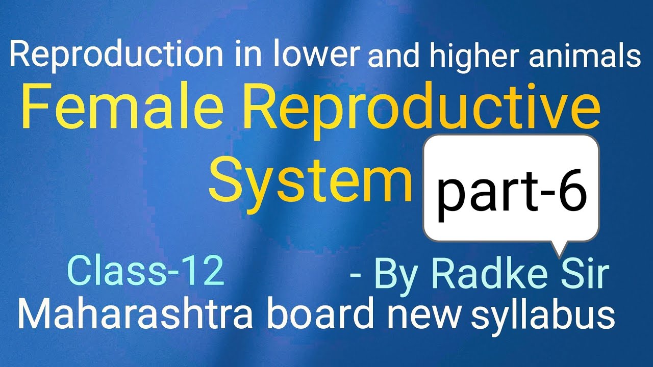 02.Reproduction in animals. l Female reproductive system (Extra points ...