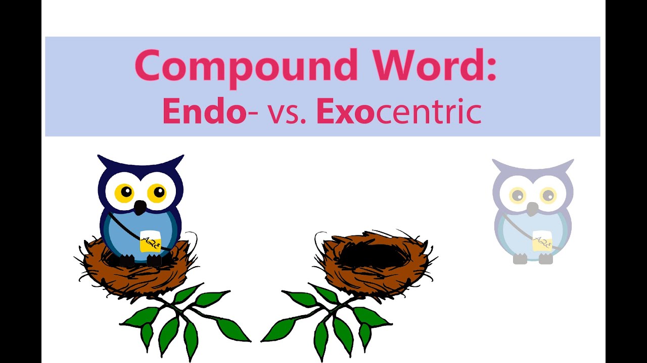 Compound Word: Endocentric vs. Exocentric - YouTube