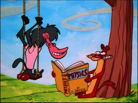I Am Weasel - Physics Lesson