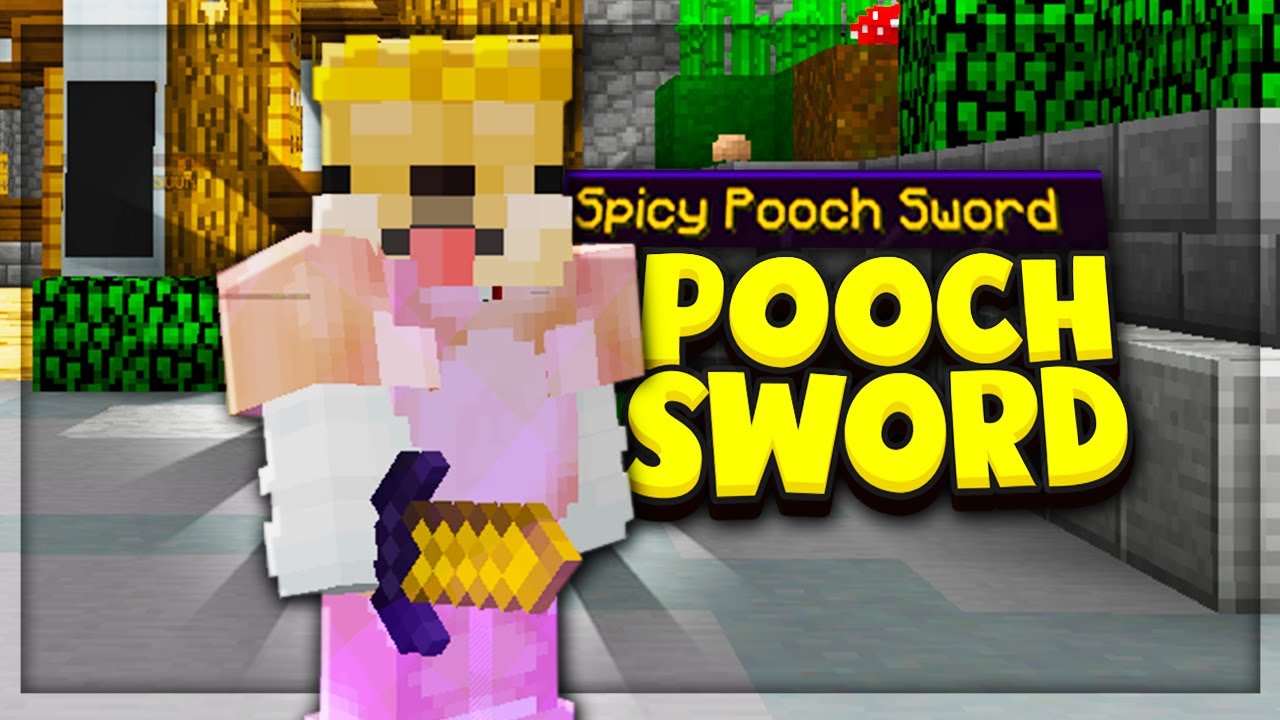 THE NEW POOCH SWORD IS ACTUALLY OP! ( Hypixel Skyblock ) - YouTube