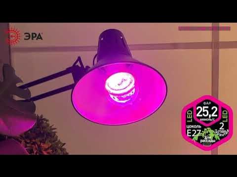 Фитолампа ЭРА FITO 14W RB E27 v 1 - YouTube