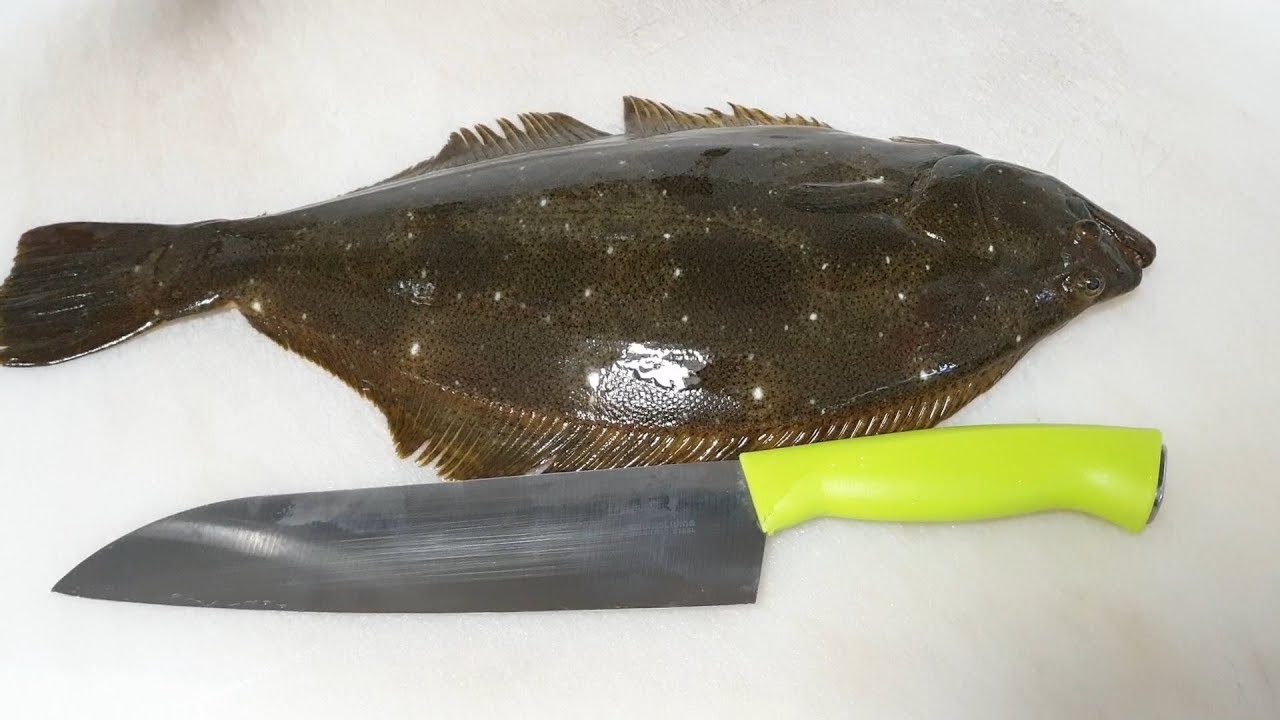 How to clean a halibut with a $3 knife from DAISO! - YouTube