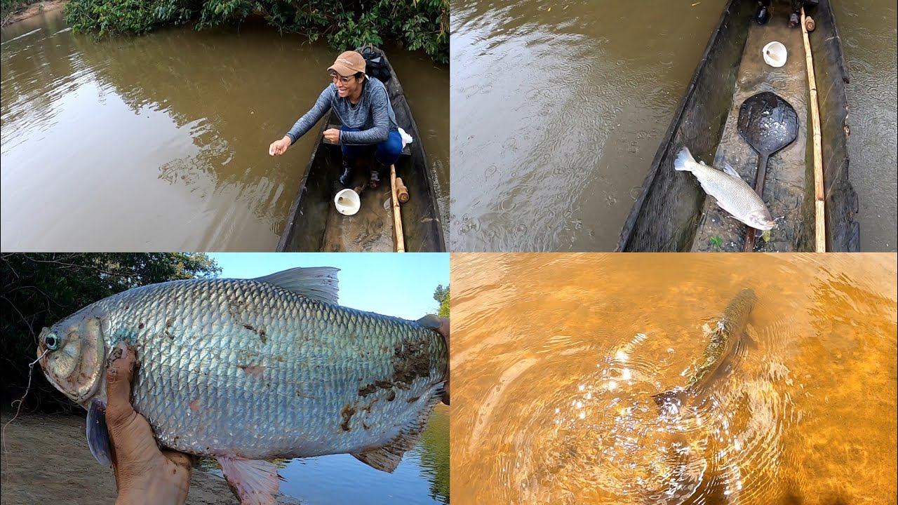 mujer experta para coger yamuces pesca de yamuces caribes nicuro real ...