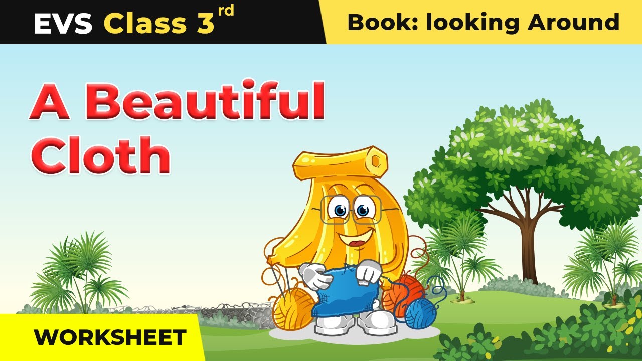 A Beautiful Cloth - Worksheet | Looking Around | Class 3 EVS Chapter 23 ...