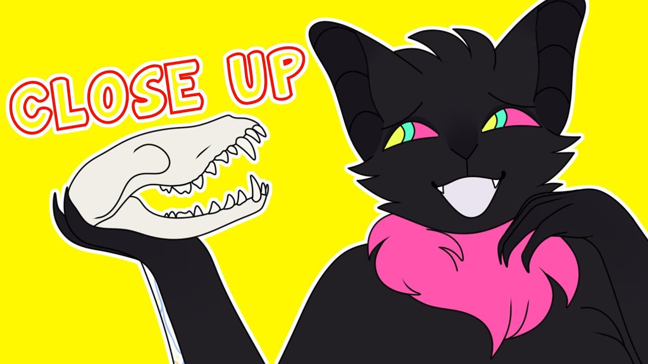 Close Up Meme - YouTube