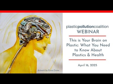 This is Your Brain on Plastic: What You Need to Know About Plastics ...