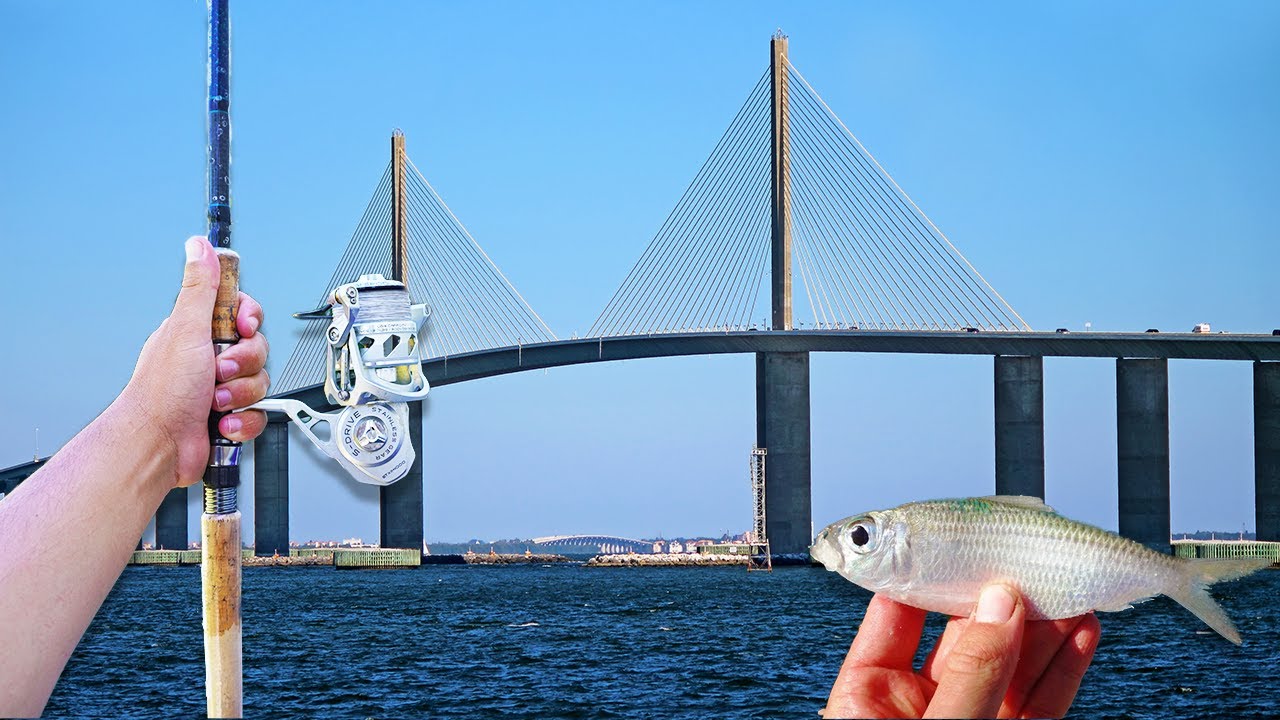 Fishing Florida's Most Underrated Spot The Skyway Bridge! - YouTube