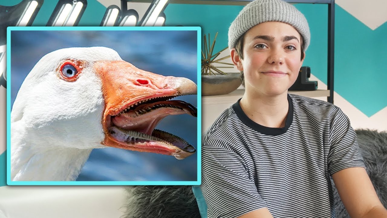 Austin Brown Reveals Funny Behind the Scenes Stories of Filming 'In ...