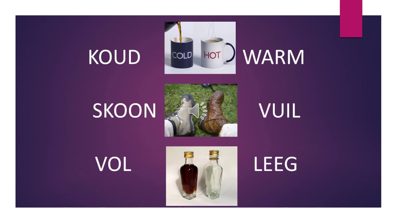 TEENOORGESTELDES (Opposites)/ ANTONIEME (Antonyms) - YouTube