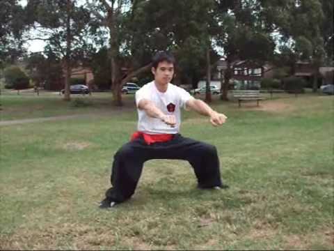 鐵線拳 (硬気功の型) Iron Wire Fist (Cultivation of Internal energy) - YouTube