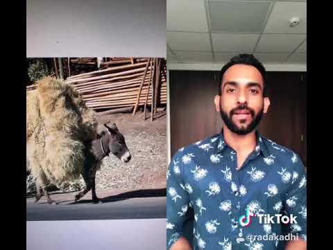 7 kaluthai vayathu - YouTube