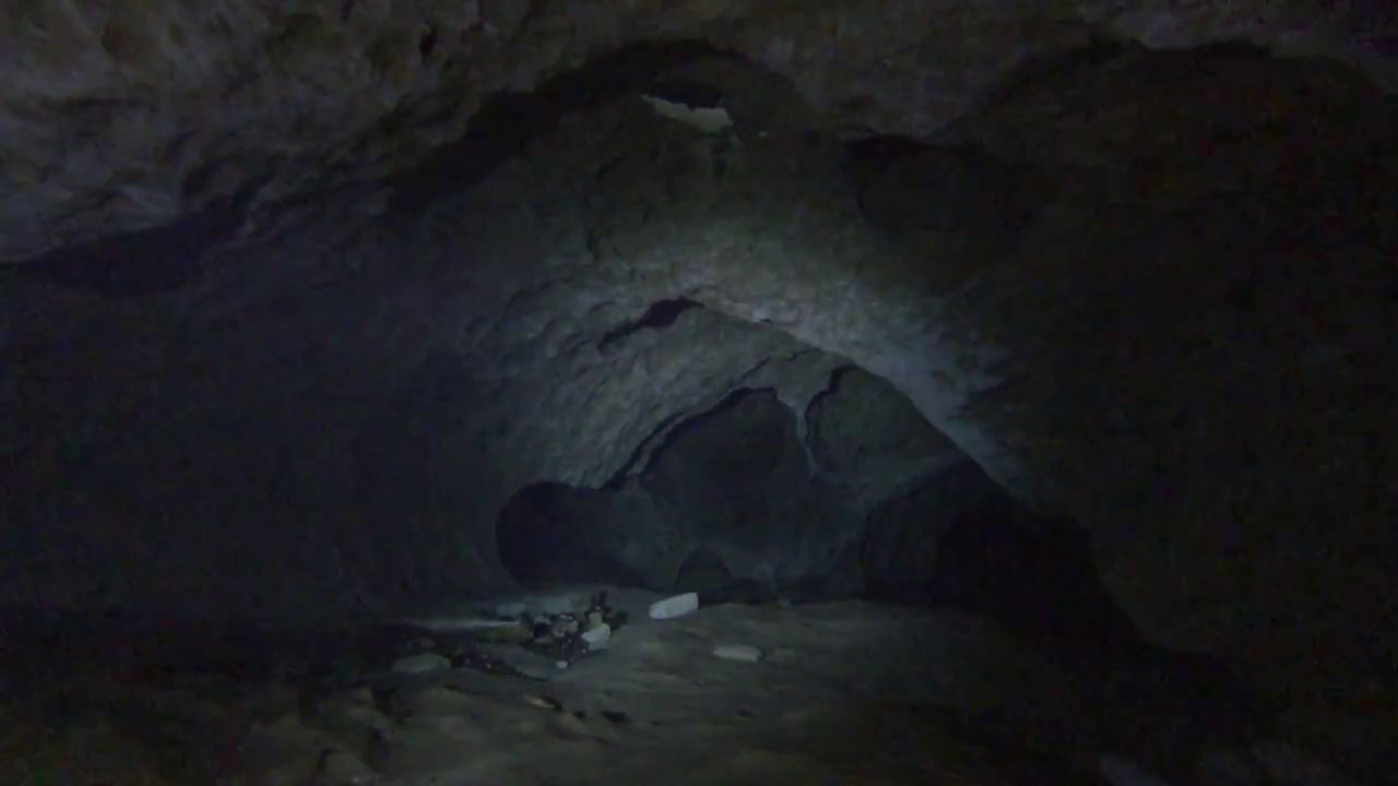 Peacock Springs Cave Dive, Orange Grove Sink - YouTube